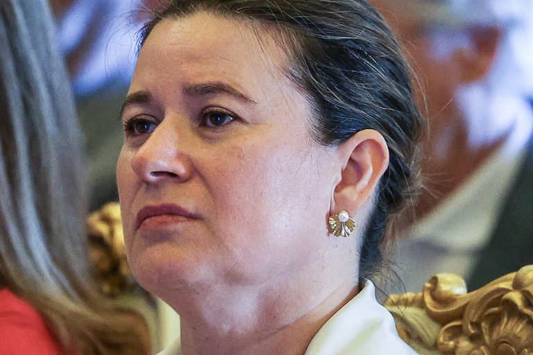 Instituto Camões quer "trazer mais países desenvolvidos" para ...